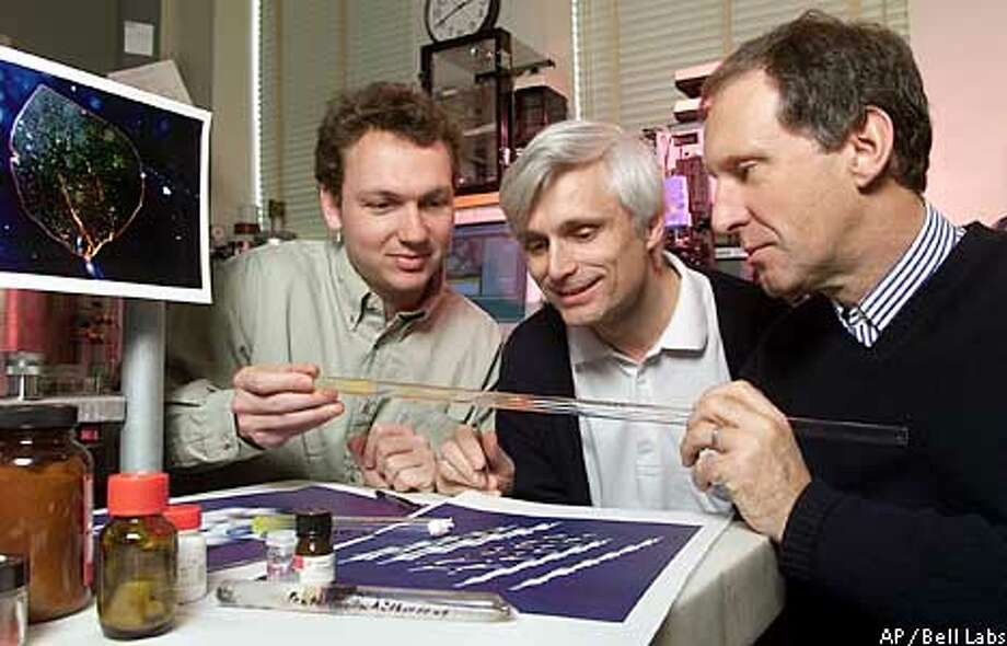 Scientists under the microscope / Researchers grapple with cause ...