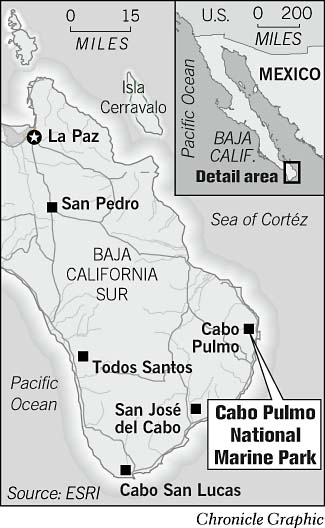 DESTINATION MEXICO / Beginners can dive right in at Baja reef park ...