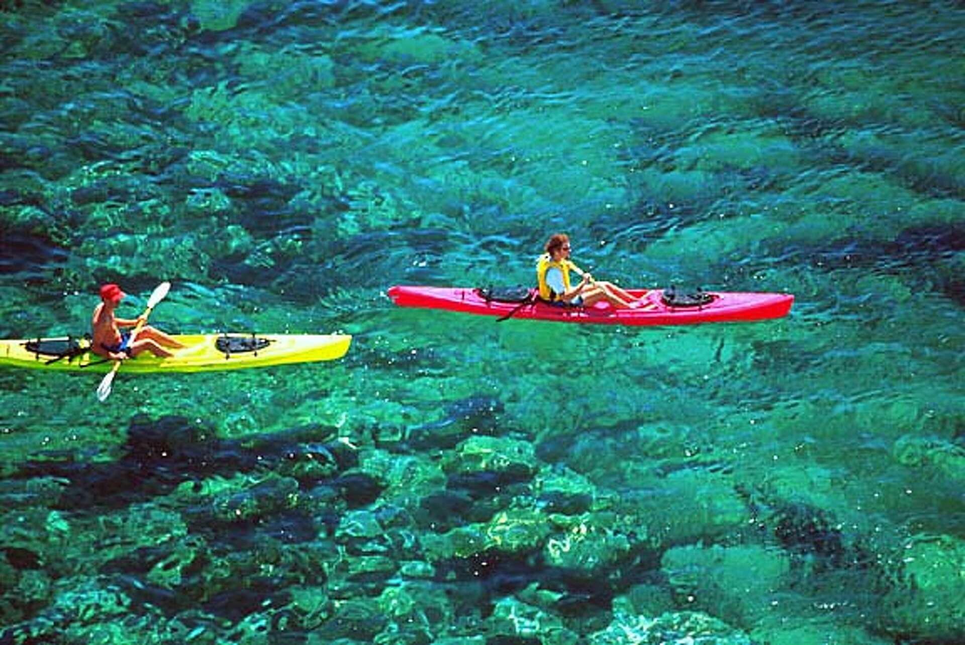 DESTINATION MEXICO / Beginners can dive right in at Baja reef park ...