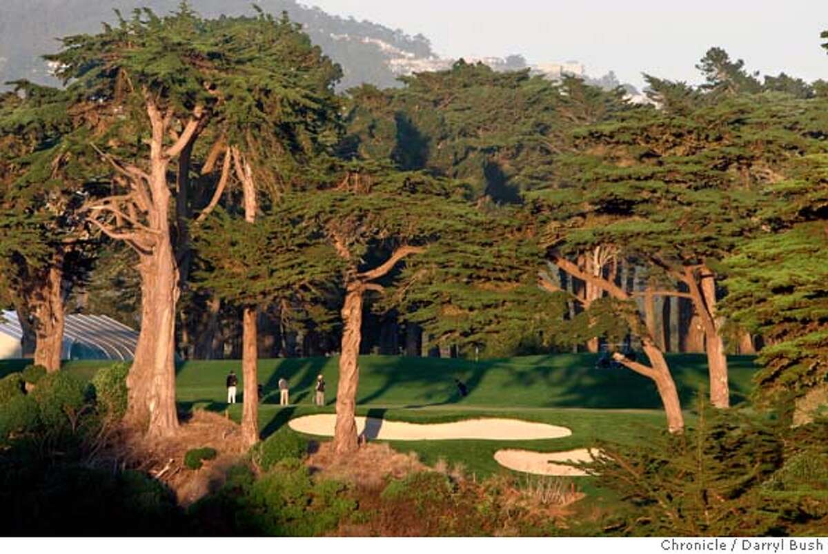 HARDING PARK RENOVATION / One year later / Course is a huge success ...