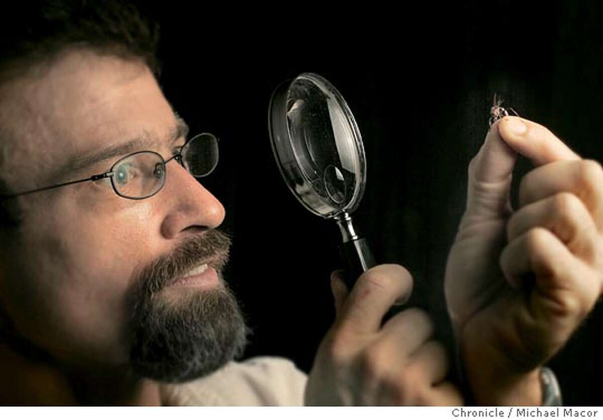 Got Ants? / Entomologist revels in studying the critters' fascinating ways