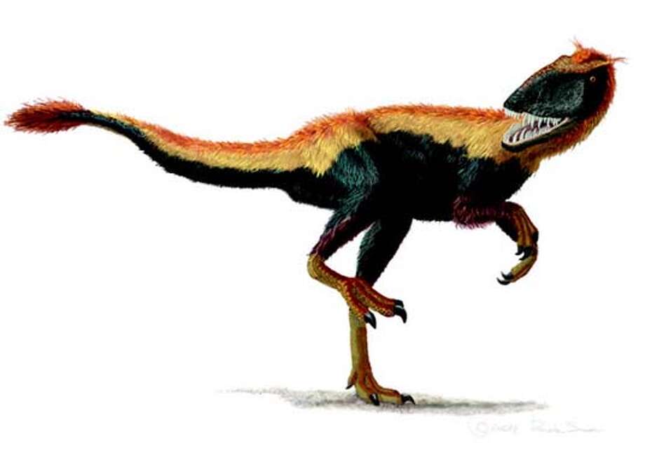 T. rex's smaller ancestor was covered with down / 130-million-year-old ...