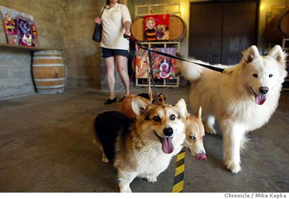 Dog Day Afternoon / Wine Country welcomes mutts and their masters
