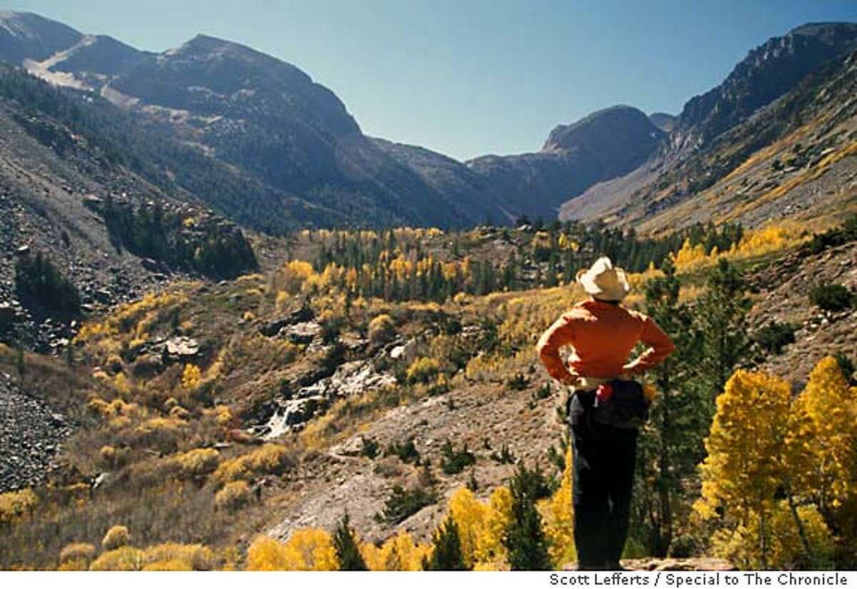 Eastern Sierra rivals New England's fall show / Mono Basin aflame with ...