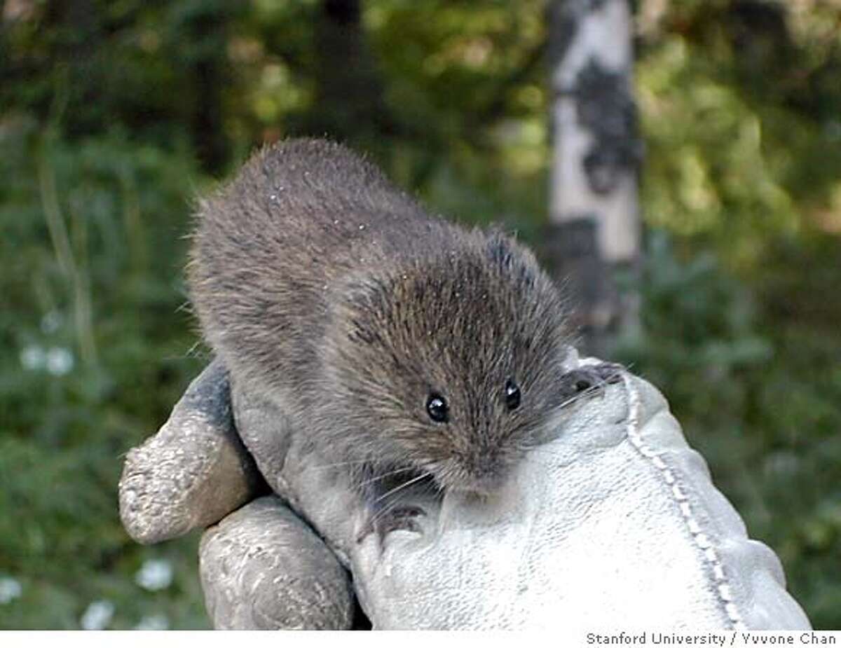 Fossils show climate influencing evolution / Changes affect genetic ...