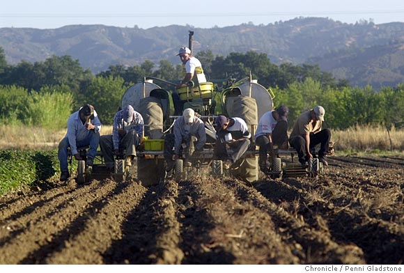 Special deliveries / Careful planning, crop diversity and quick ...