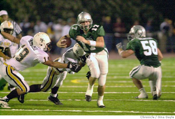 DLS matched against its mirror image