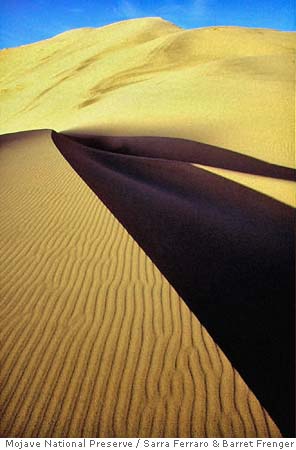 40th Anniversary of Wilderness Protection Act / Our great American ...