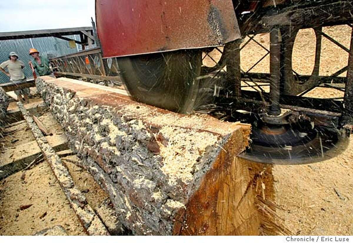 Oakland: Mill harvests the urban forest