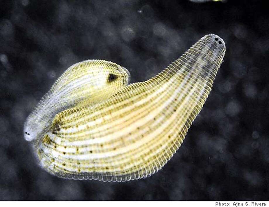 Figuring out the very nature of nature / UC lab heads groundbreaking ...