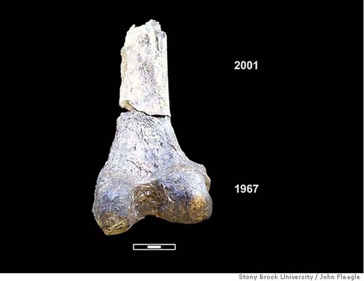 New research pushes back date for earliest humans / African fossils are ...