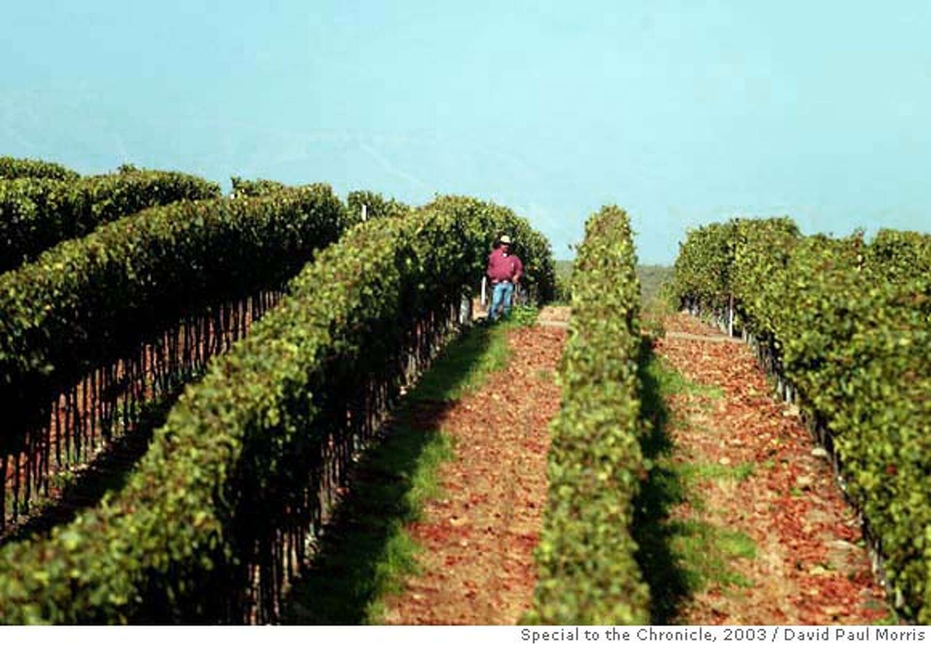 Changes boost Mondavi's stock / Restructuring, dilution of family's ...