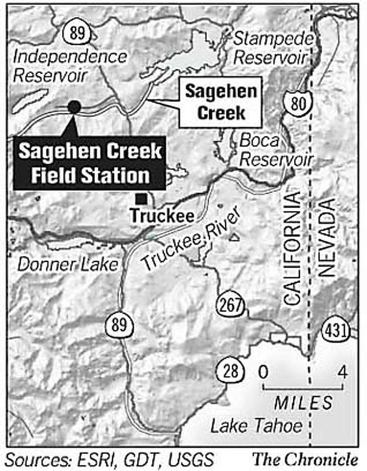 NEVADA COUNTY / UC outpost is a natural survivor / Sagehen research ...