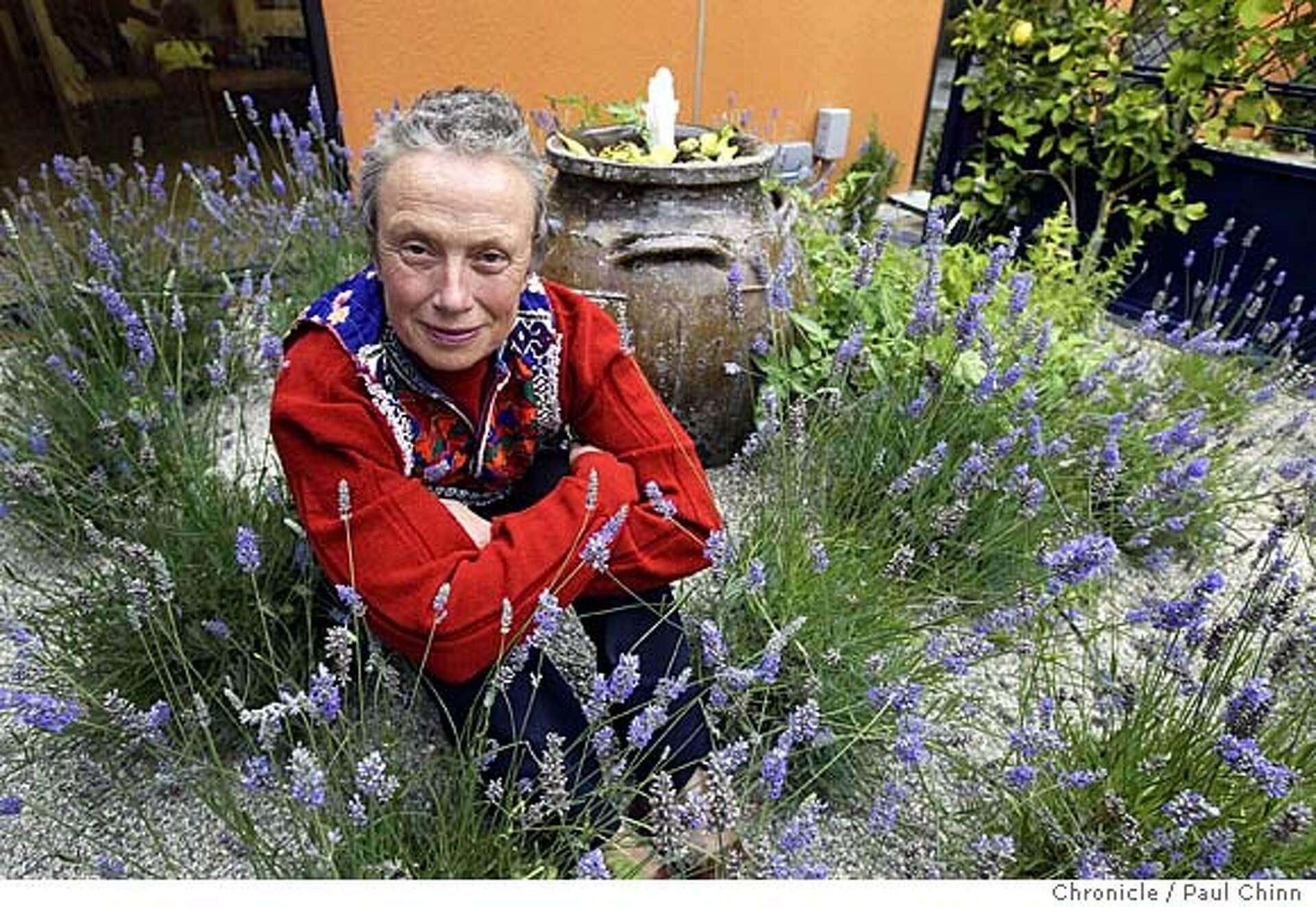 Delaney's delight / Noted S.F. landscape architect's latest healing ...