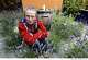 Delaney's delight / Noted S.F. landscape architect's latest healing ...