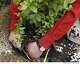 Delaney's delight / Noted S.F. landscape architect's latest healing ...