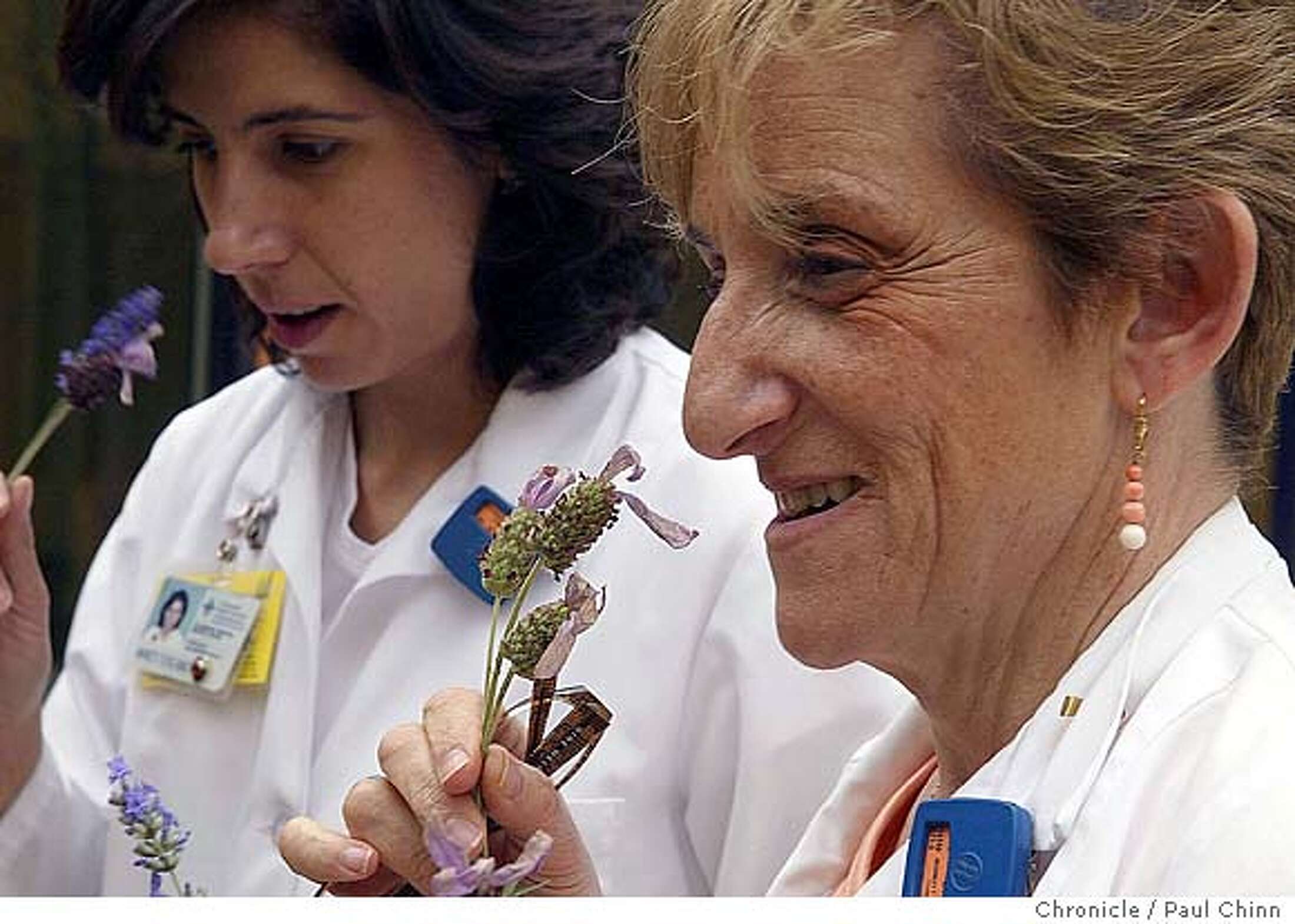 Delaney's delight / Noted S.F. landscape architect's latest healing ...