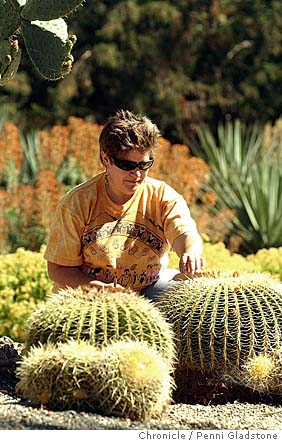 Stanford's Victorian cactus garden reawakens