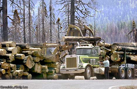 New logging plan raises concern / Bush rules could speed up commercial ...