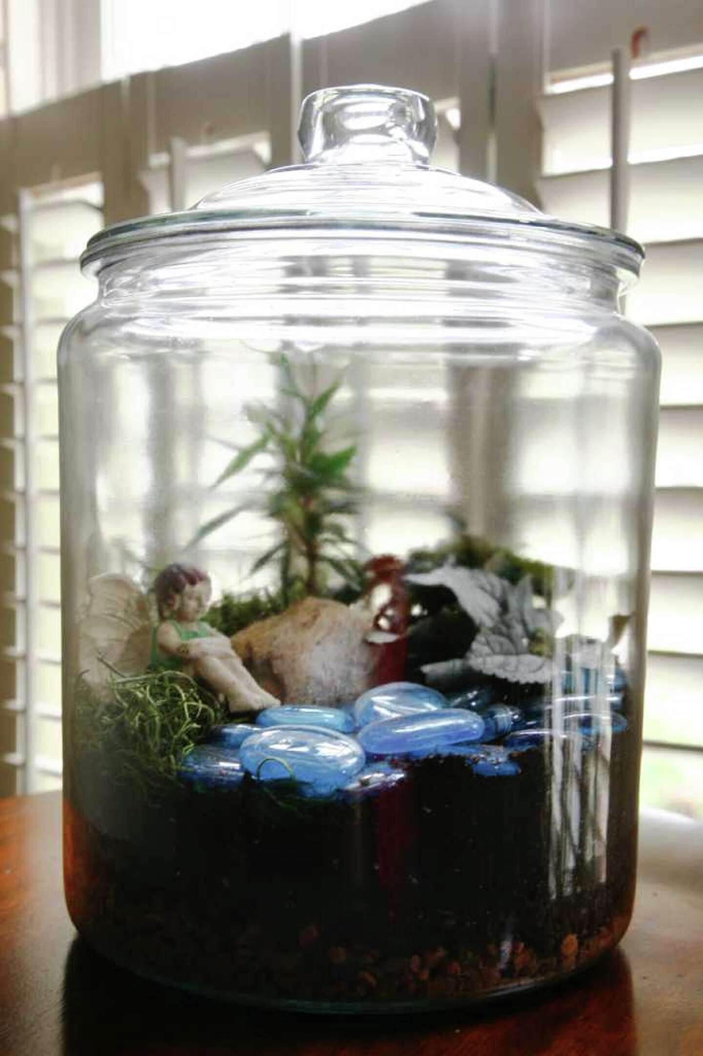 Terrariums: Miniature gardens under glass