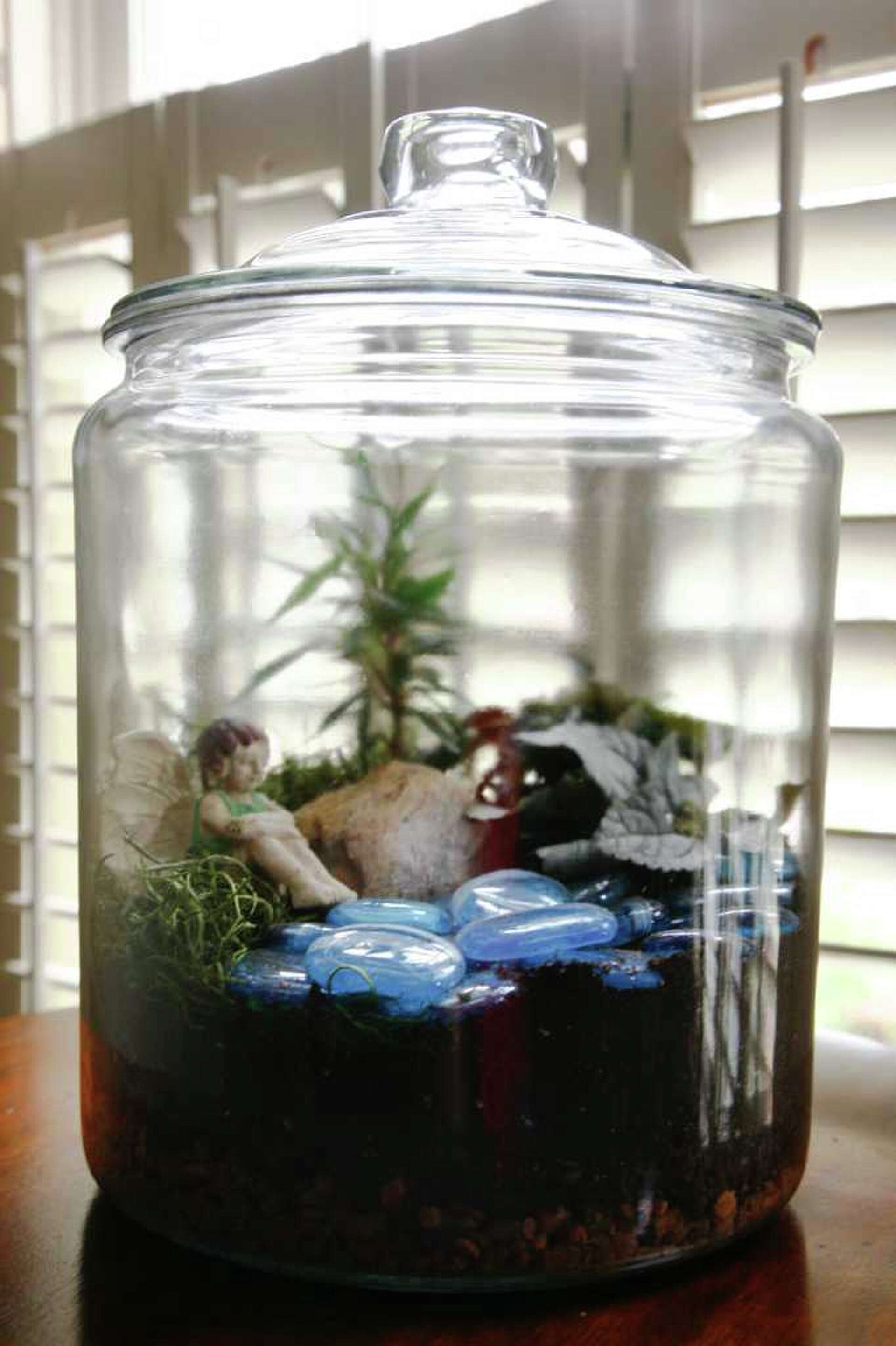 Terrariums: Miniature gardens under glass