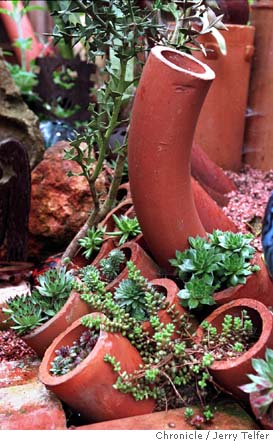 Pots are ancient, practical way to garden