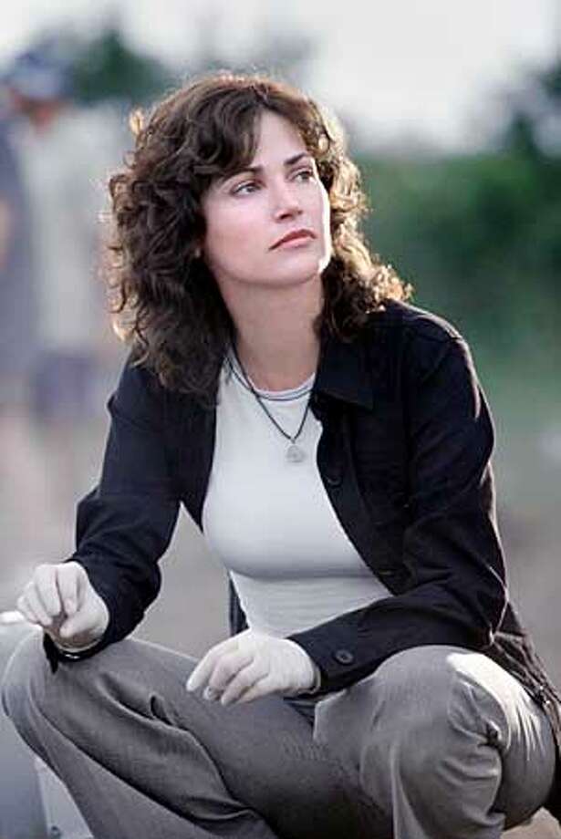 'CSI: Miami' could be on to something - SFGate