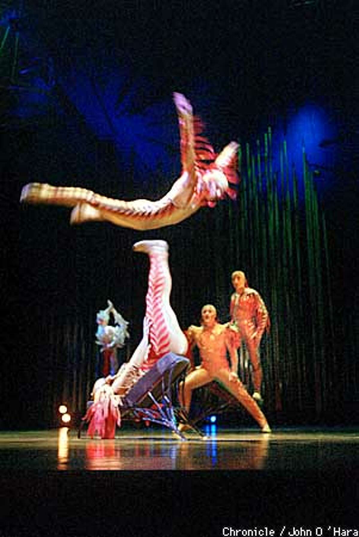 Cirque swings high yet again in 'Varekai' / Awe-inducing stunts grace a ...