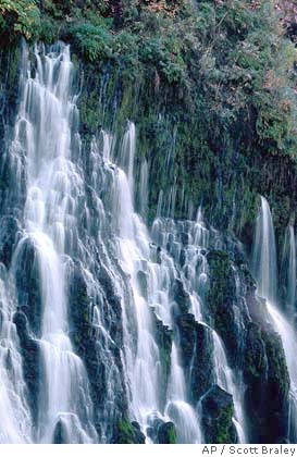 June is perfect time to visit state parks