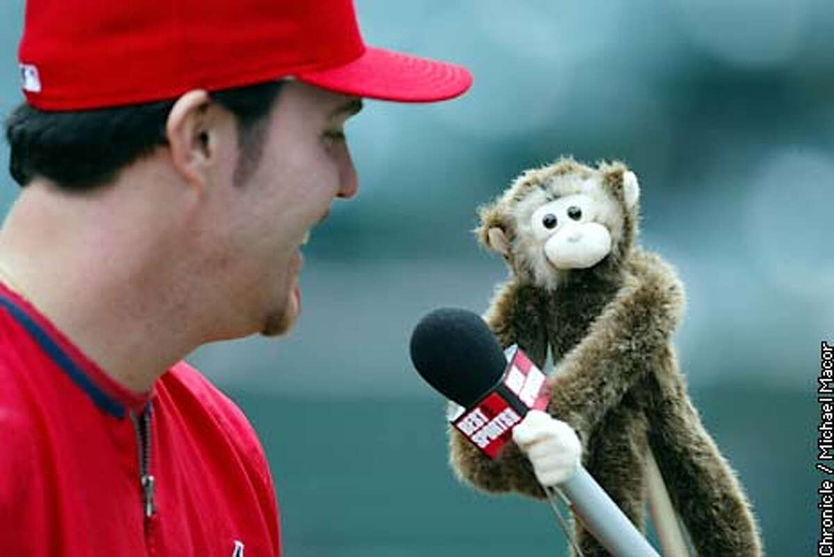 Famous primates to celebrate during the Year of the Monkey