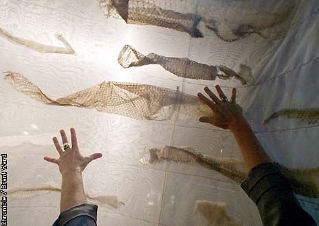 Bringing biology to slimy, squirmy life