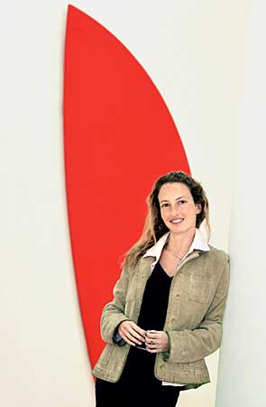 Splitting perceptions of Ellsworth Kelly