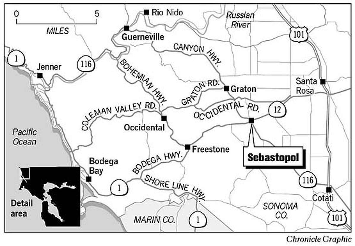Sebastopol's inviting bloom / Outdoor art, lively weekend markets add ...