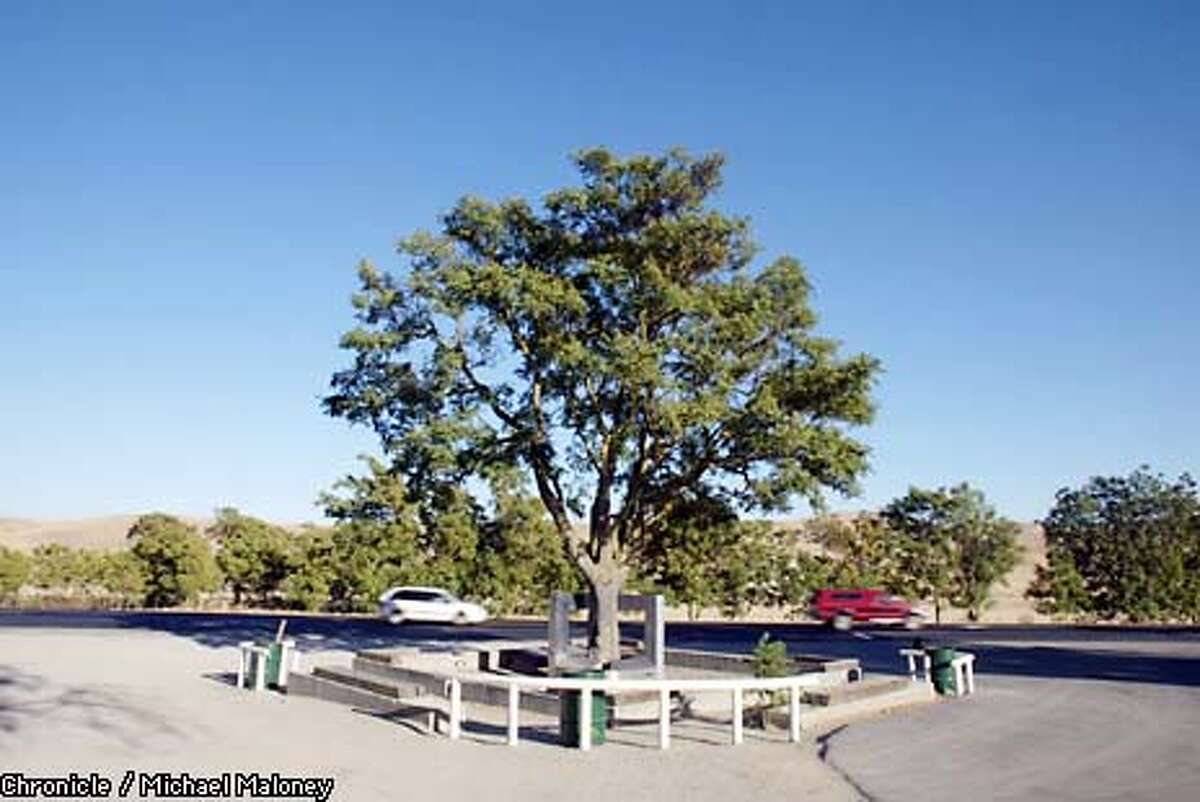 Fatal attraction / Popular corner that claimed James Dean's life ...