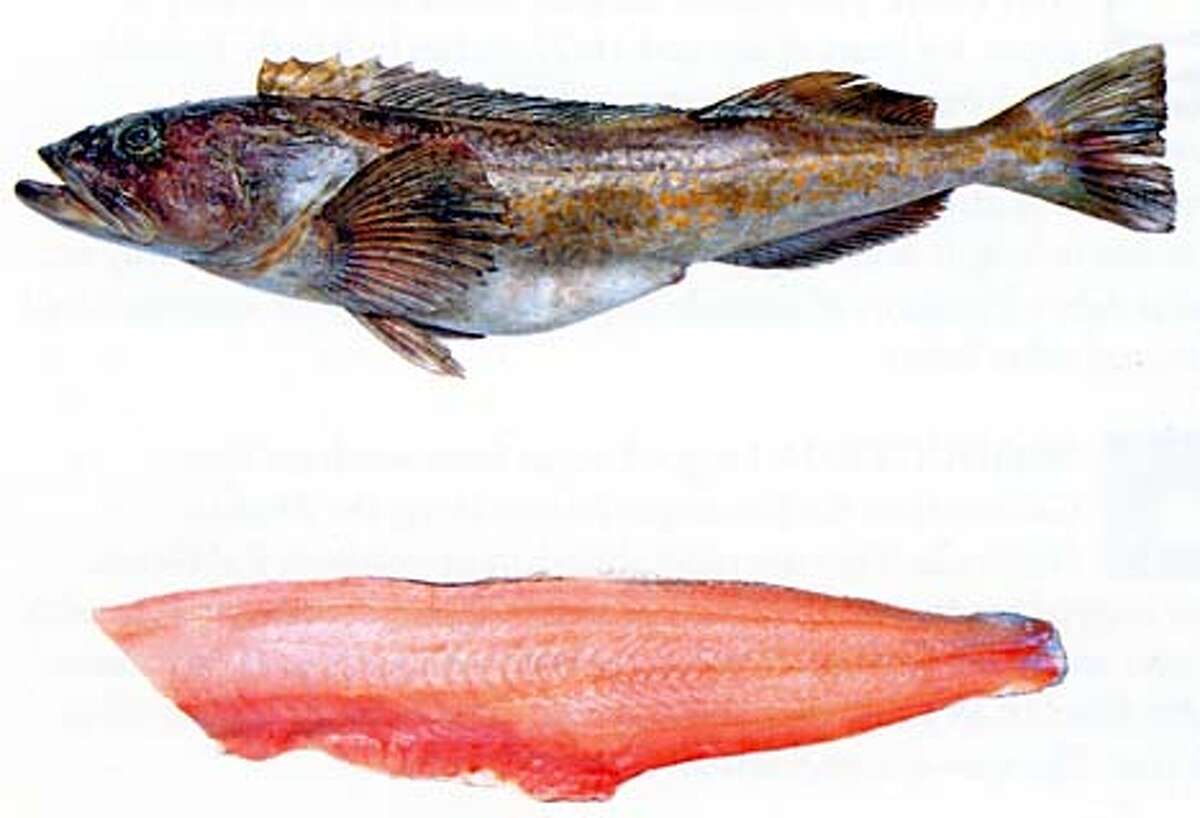 Seafood by the season / Buying fresh, local and at the right time ...