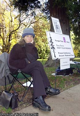 Tree hugger's hunger strike at 40 days / Trying to save old-growth ...