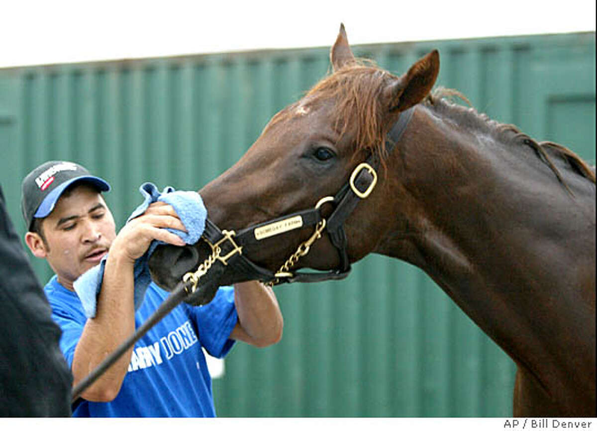 Smarty Jones: a hero in hard times / Americans cheer thoroughbred's ...
