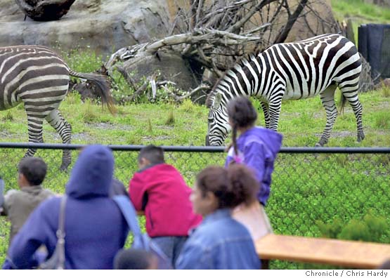 SAN FRANCISCO / Zoo offers a touch of African savanna on 3 acres beside ...