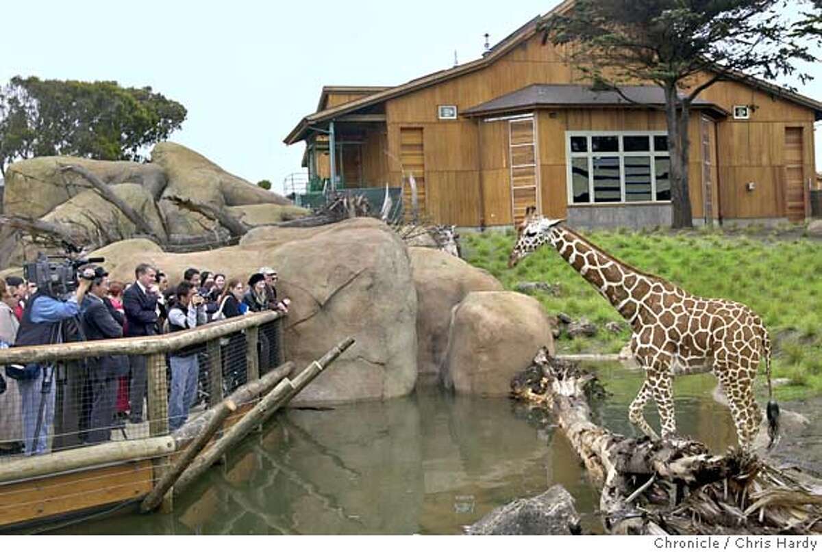 SAN FRANCISCO / Zoo offers a touch of African savanna on 3 acres beside ...