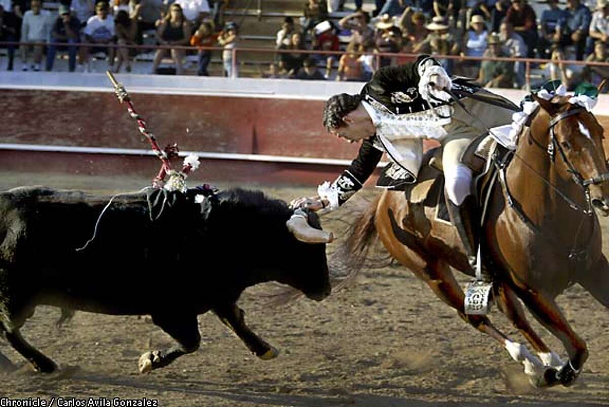 RITUALS / Portuguese Festival Bullfighting / Braving the bulls ...