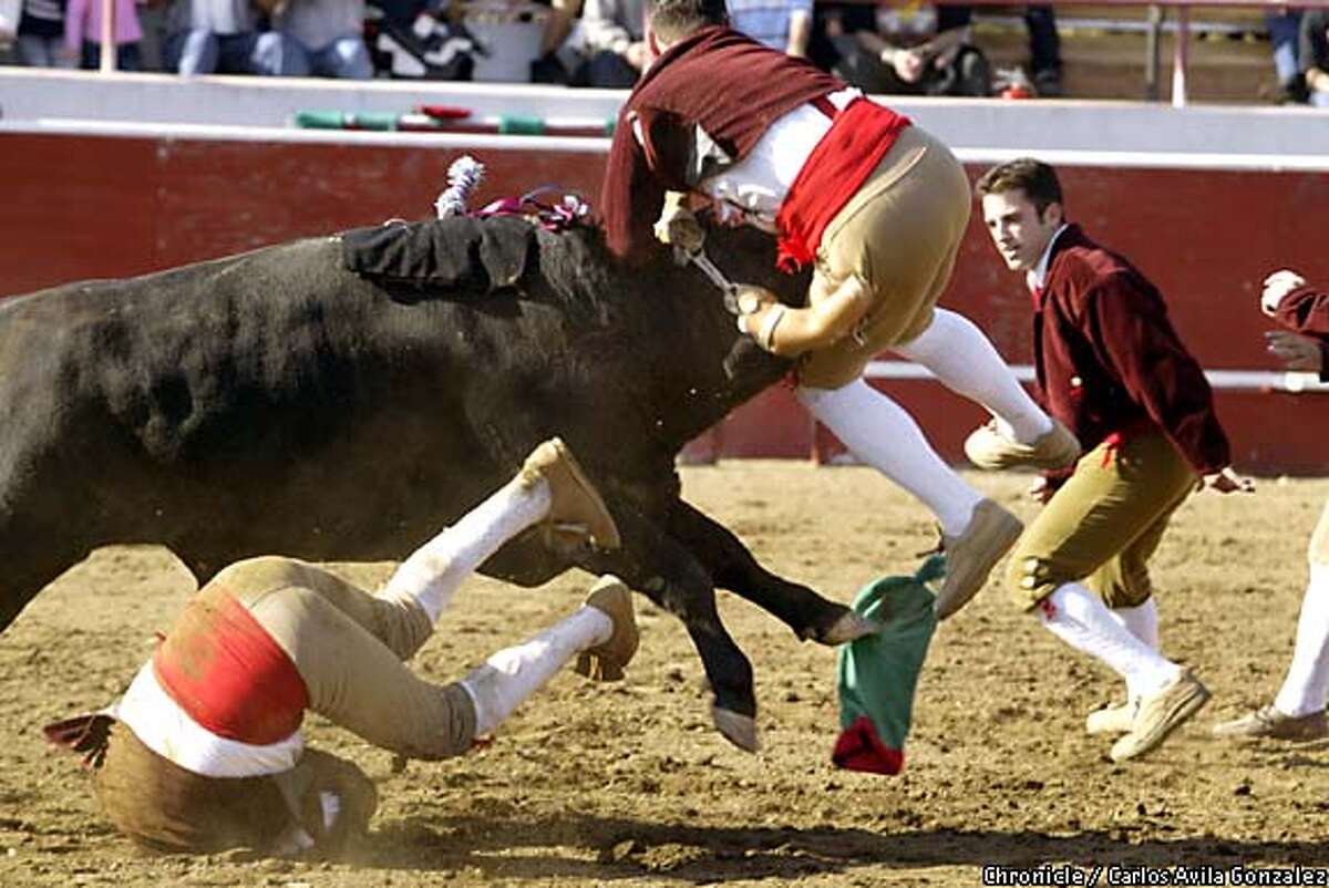 RITUALS / Portuguese Festival Bullfighting / Braving the bulls ...