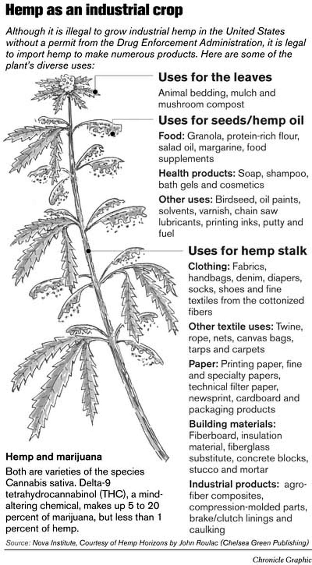 Hemp trade nipped in the bud / U.S. agencies are putting a lid on ...