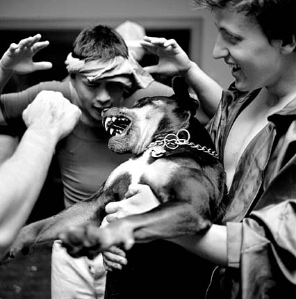 Beyond the hazing, beyond the boozing, is bonding. Andrew Moisey ...