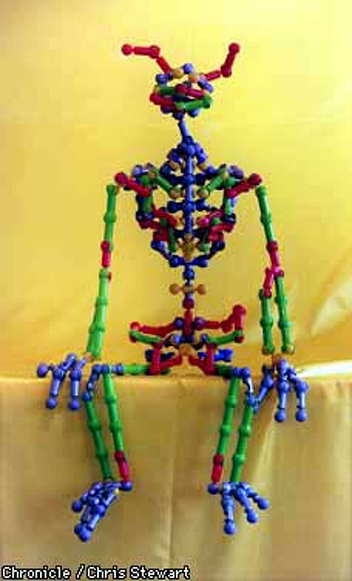 Zoob Toys Zooming / Consumers snap up construction pieces