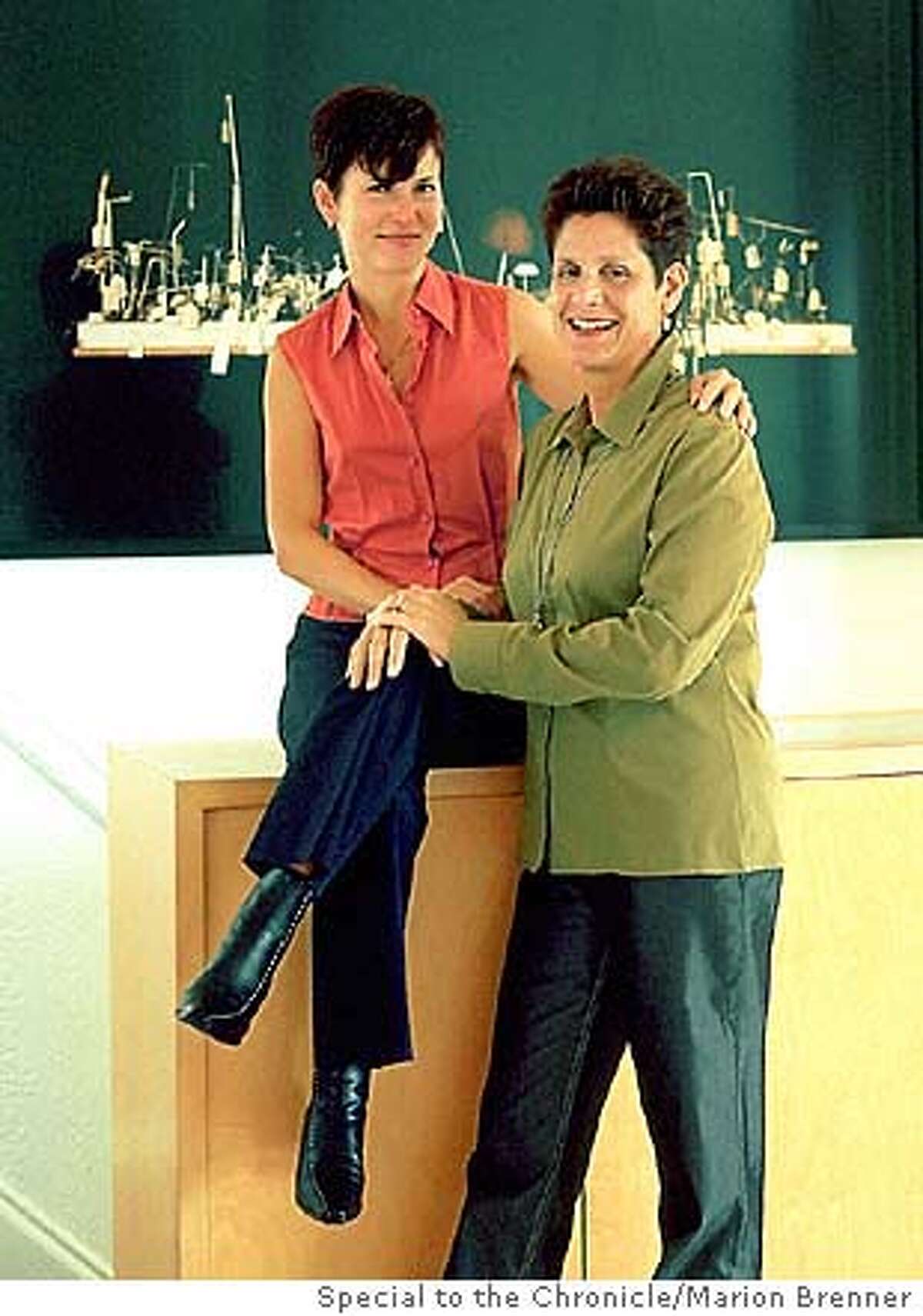 Time Passages / Artists Catherine Wagner and Loretta Gargan's changing ...