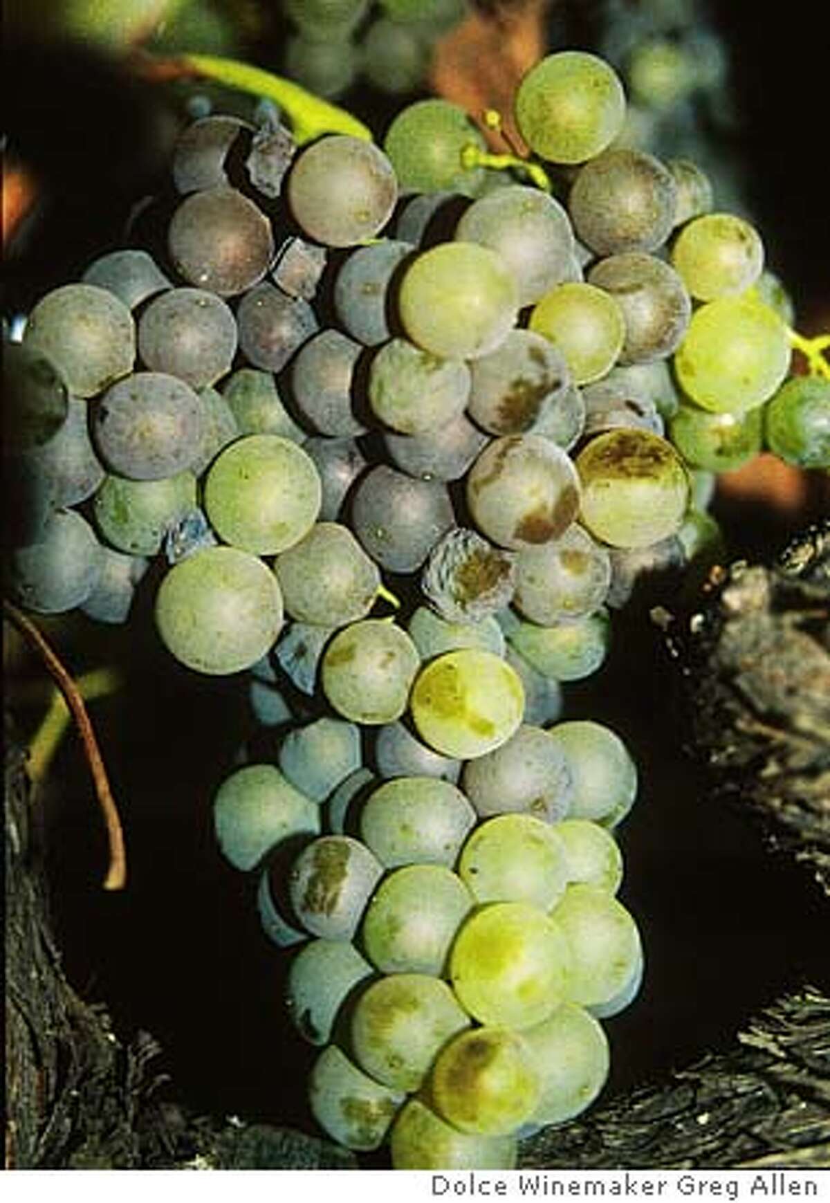 Sweet surrender / Sure, you're stuffed, but don't leave the table ...