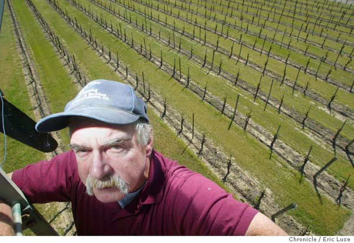 GRAPE / Tim Keegan's excellent piece of ground ... Fifty tons of apples ...