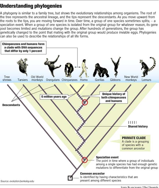 Evolution education down to a science on Web / UC Berkeley experts ...