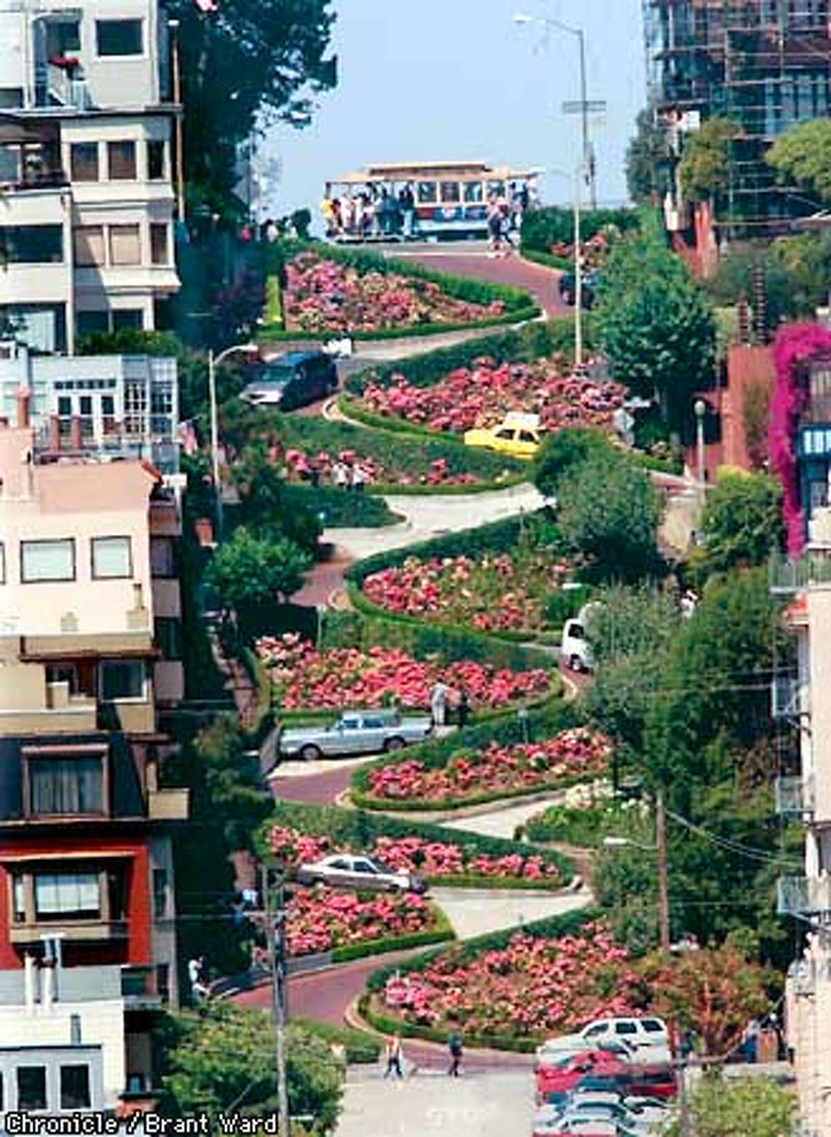 Tourists zigzag to crooked road / Complaints prompt S.F. to create ...