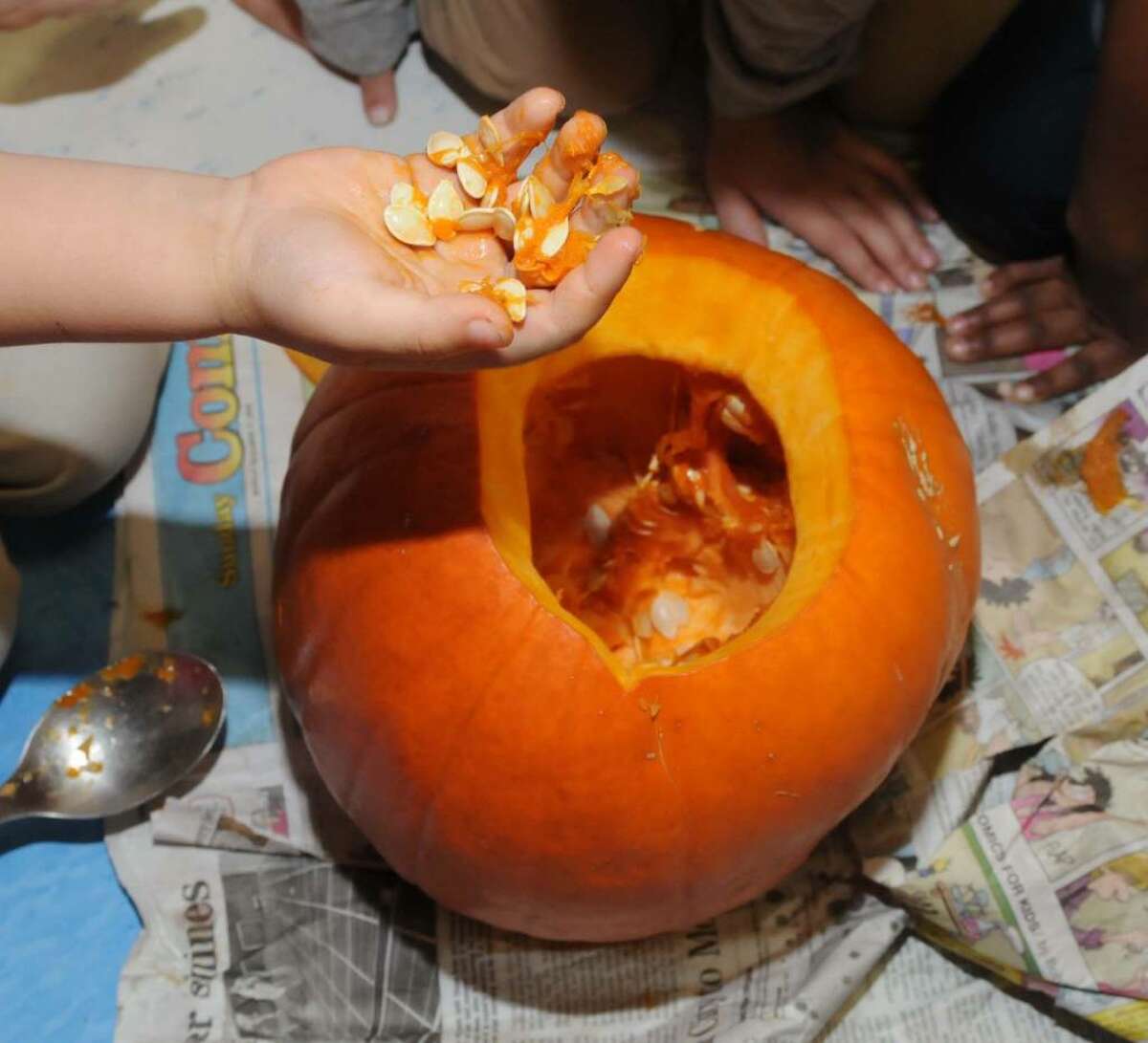 Pumpkin Learning pumpkin-learning